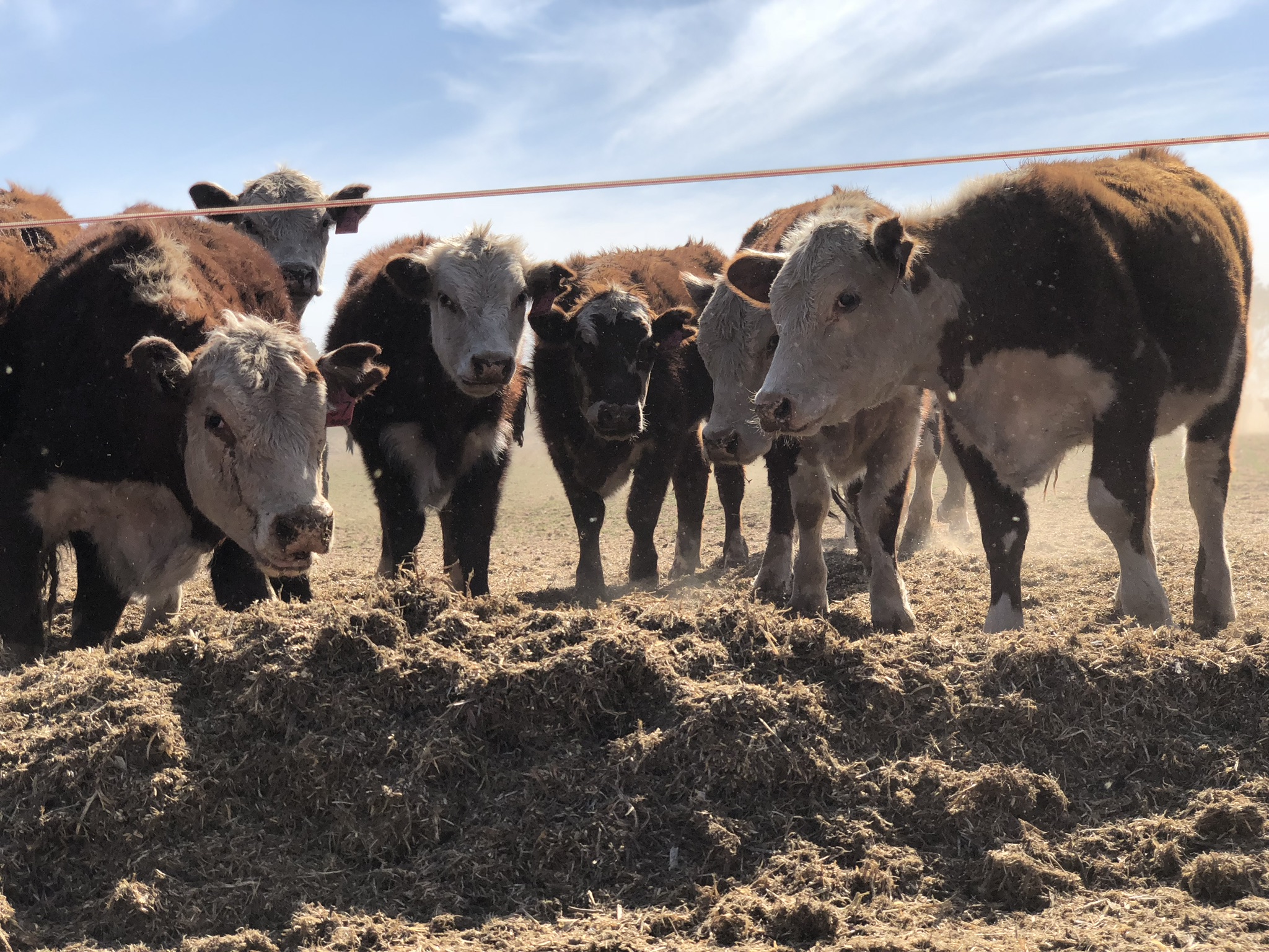 Home - Australian Farmers' Fighting Fund