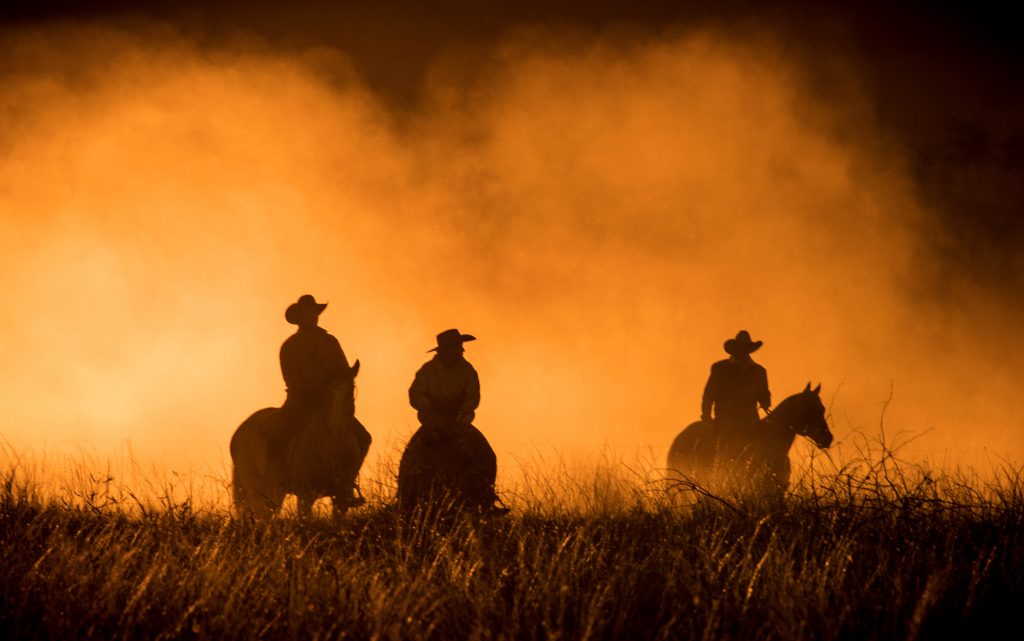 Cases - Australian Farmers' Fighting Fund